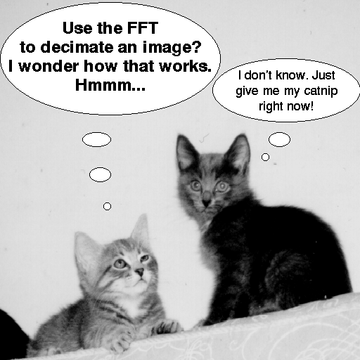 top_student.png - a photo of the best student in ECE 418 Spring 2004 ...