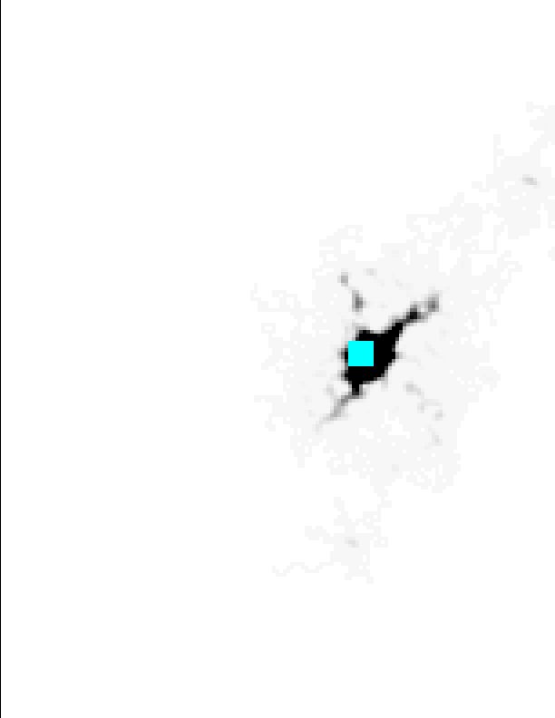 Some of Our Pictures And Movie Files (in AtomViewer Format)